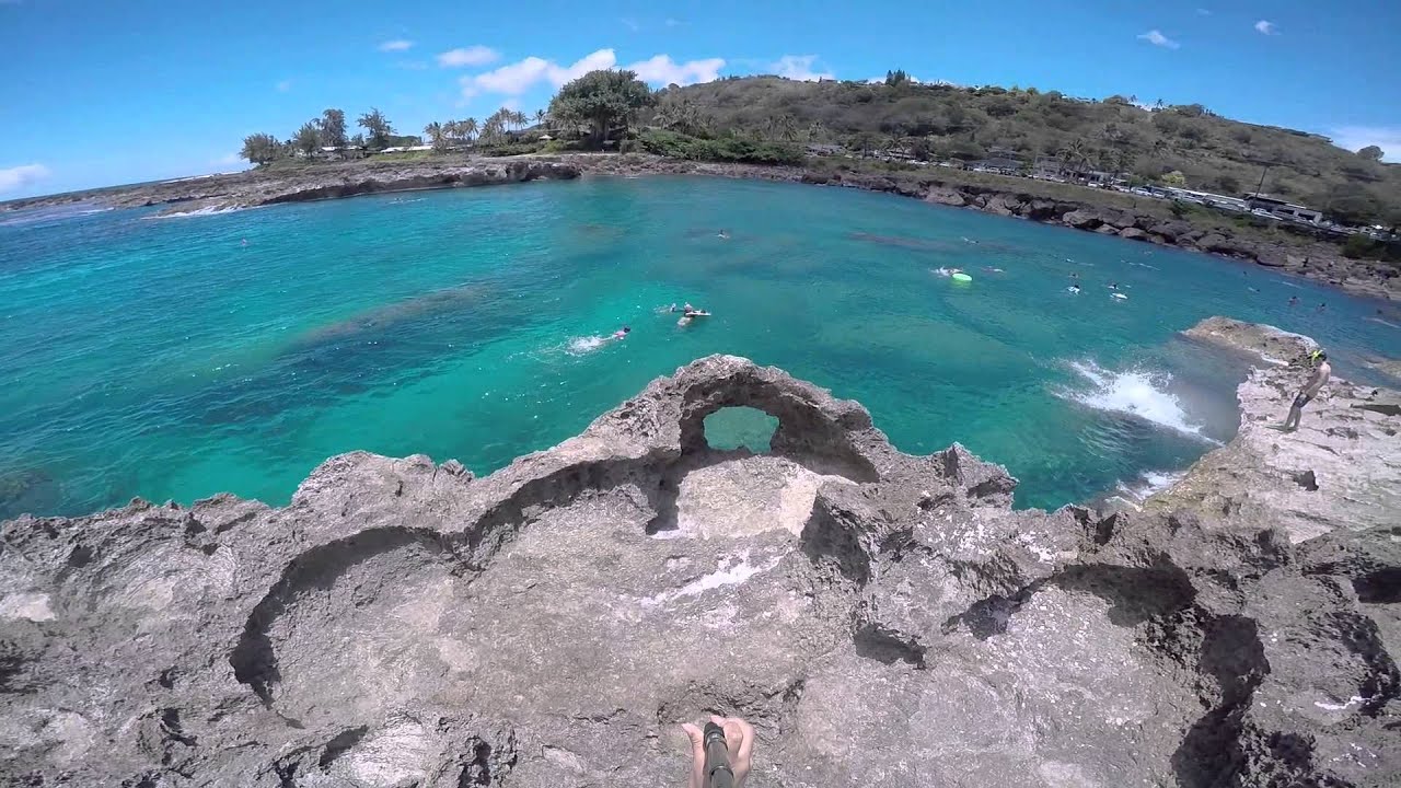 Snorkeling at Sharks Cove - YouTube