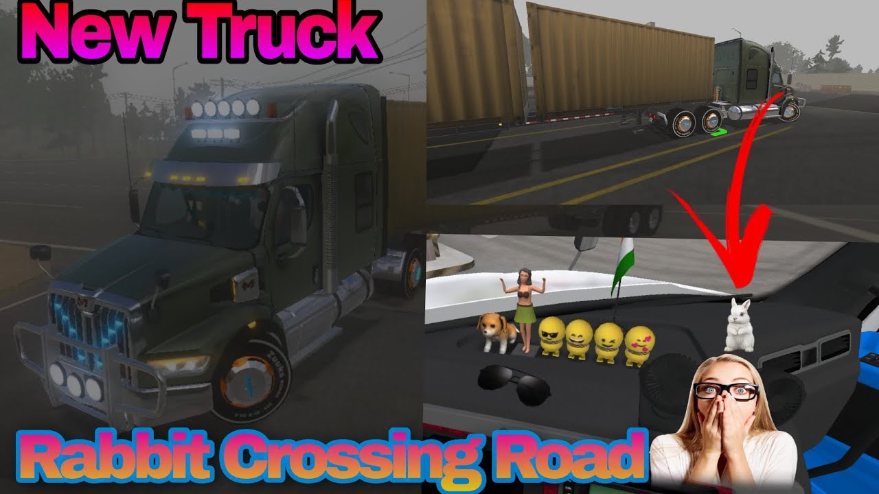 Rabbit Crossing Road 😱😱 Ottawa To Toronto 456 Km With Modified Truck ...