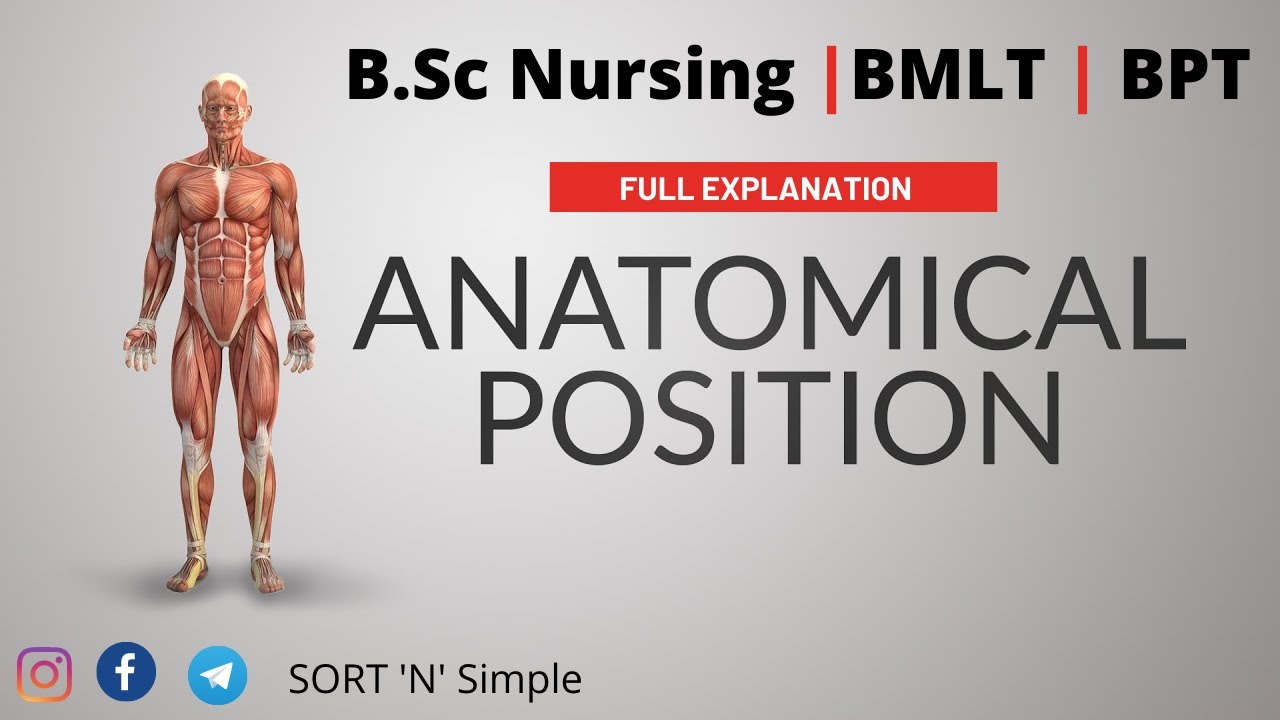 B.Sc Nursing | BMLT | BPT | Human Anatomy | Anatomical Positions | Dr.B ...