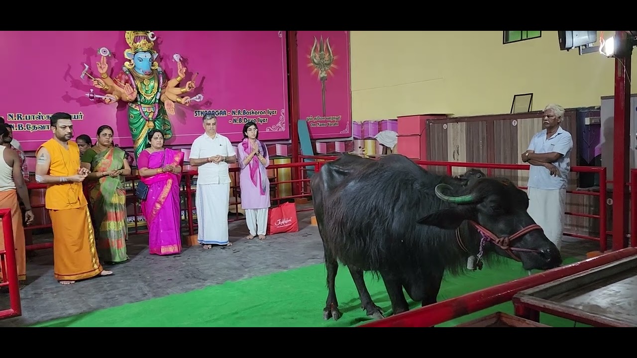 varahi Amma Pooja at om shiri Maha varahi peedam at arcot by varahi ...