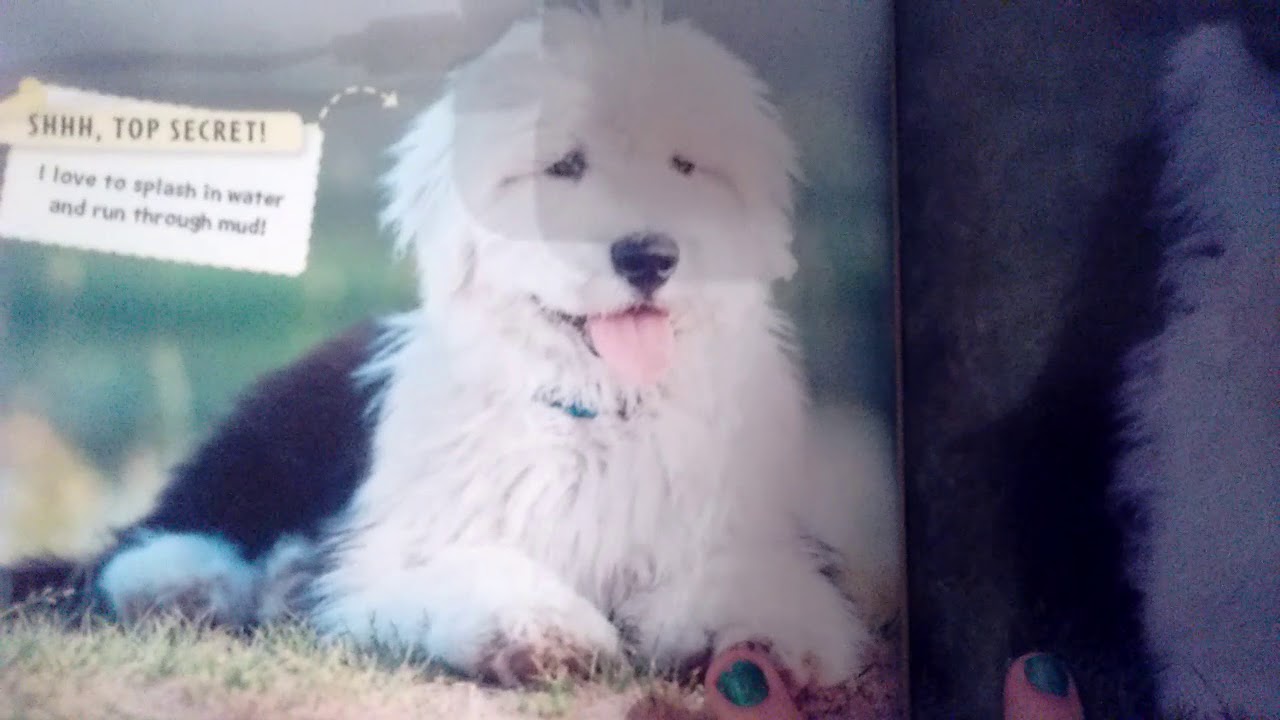 Puppy Secrets part 3 - YouTube