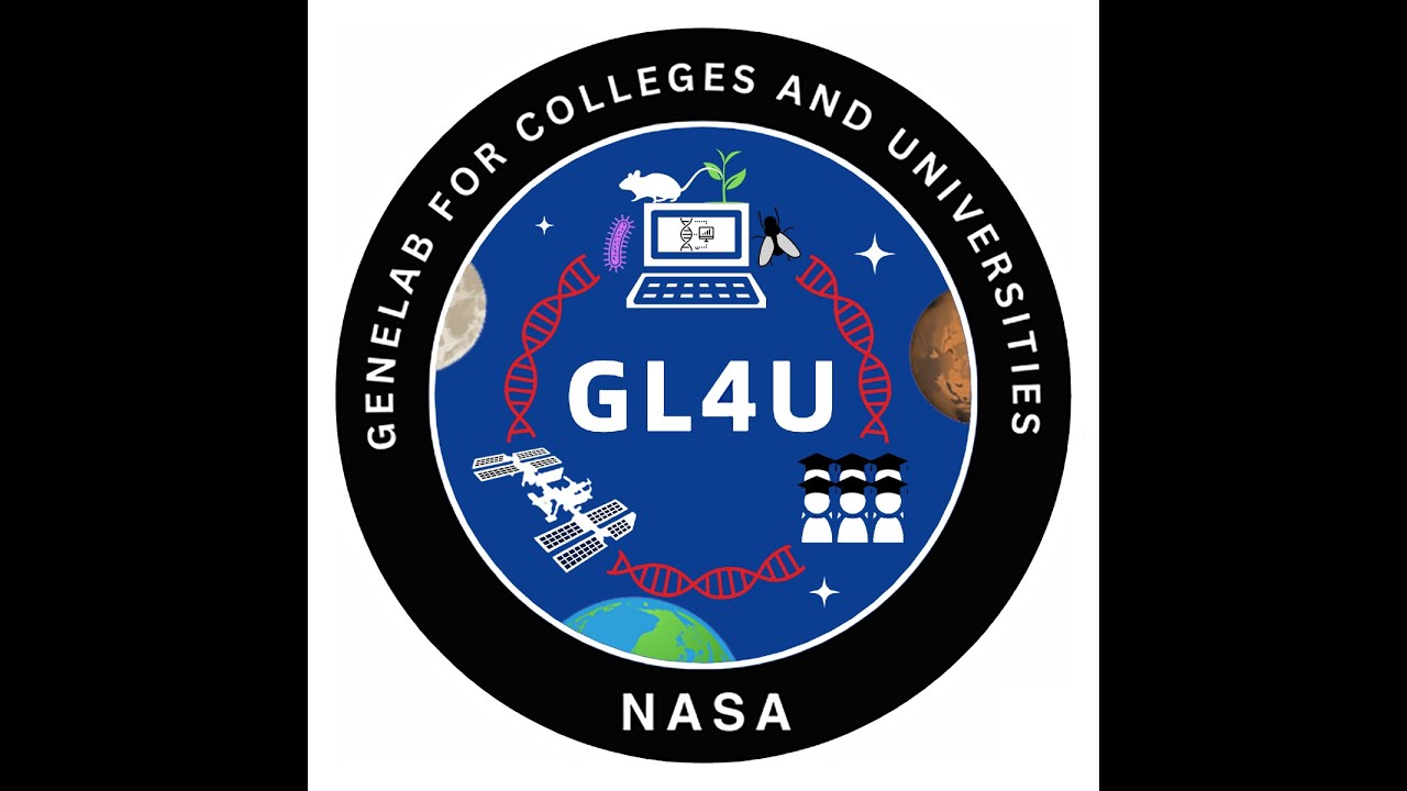 GL4U: Intro Lecture 2of4 OSDR GL Overview 2024 - YouTube