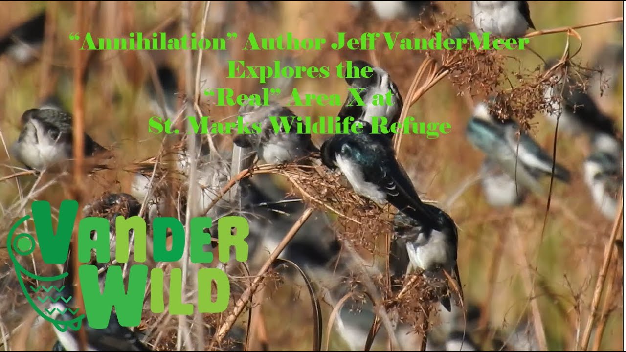 Jeff VanderMeer Explores "Real" Area X from Annihilation and the ...