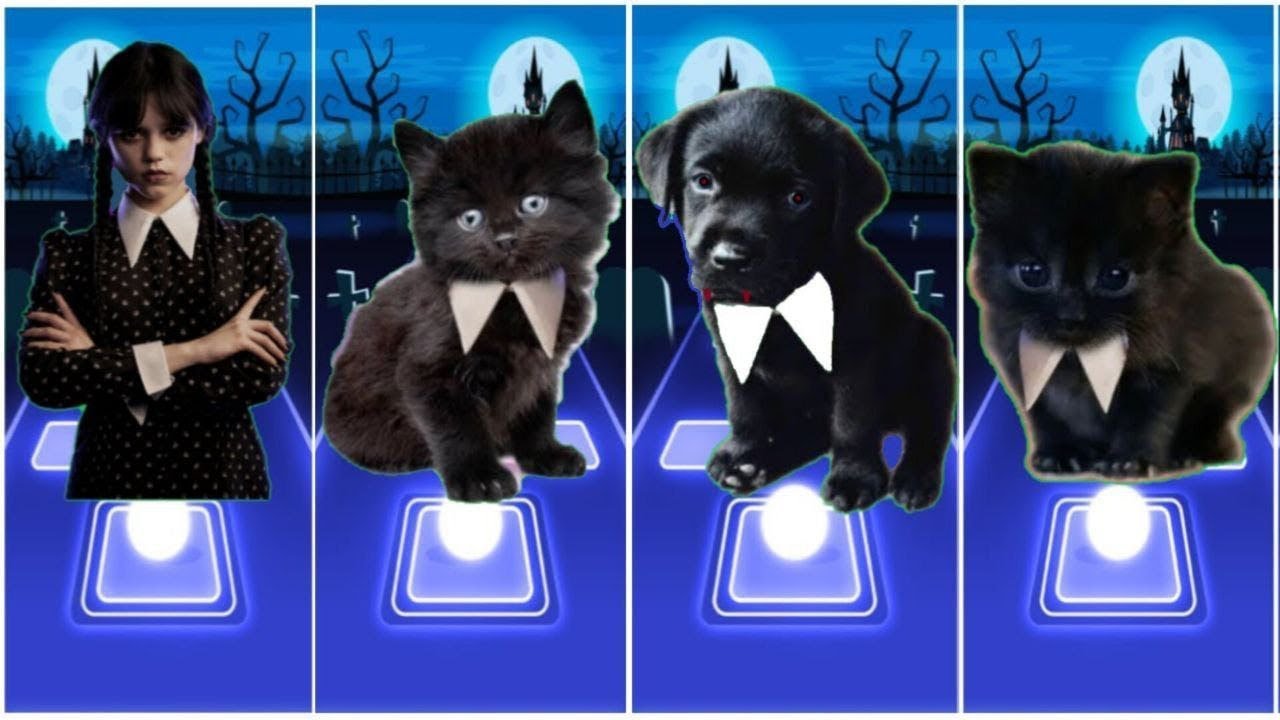 Wednesday Addams vs Cute Cats vs Cute Dog with Lady Gaga Bloody Mary I ...