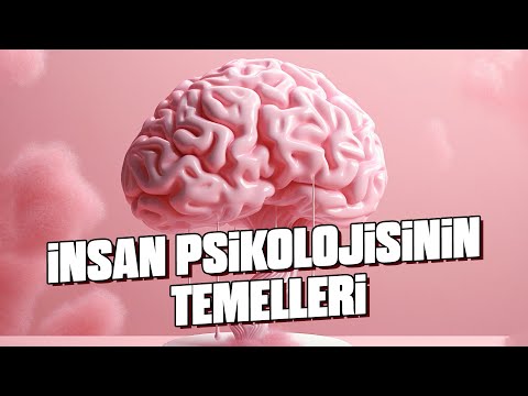 İnsan Mısınız, Koyun mu? | Meşhur Psikoloji Deneyleri