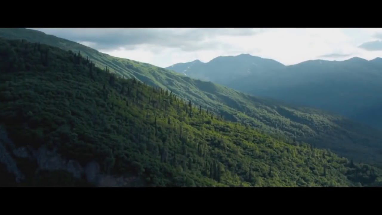 wrong turn 8 official trailer - YouTube