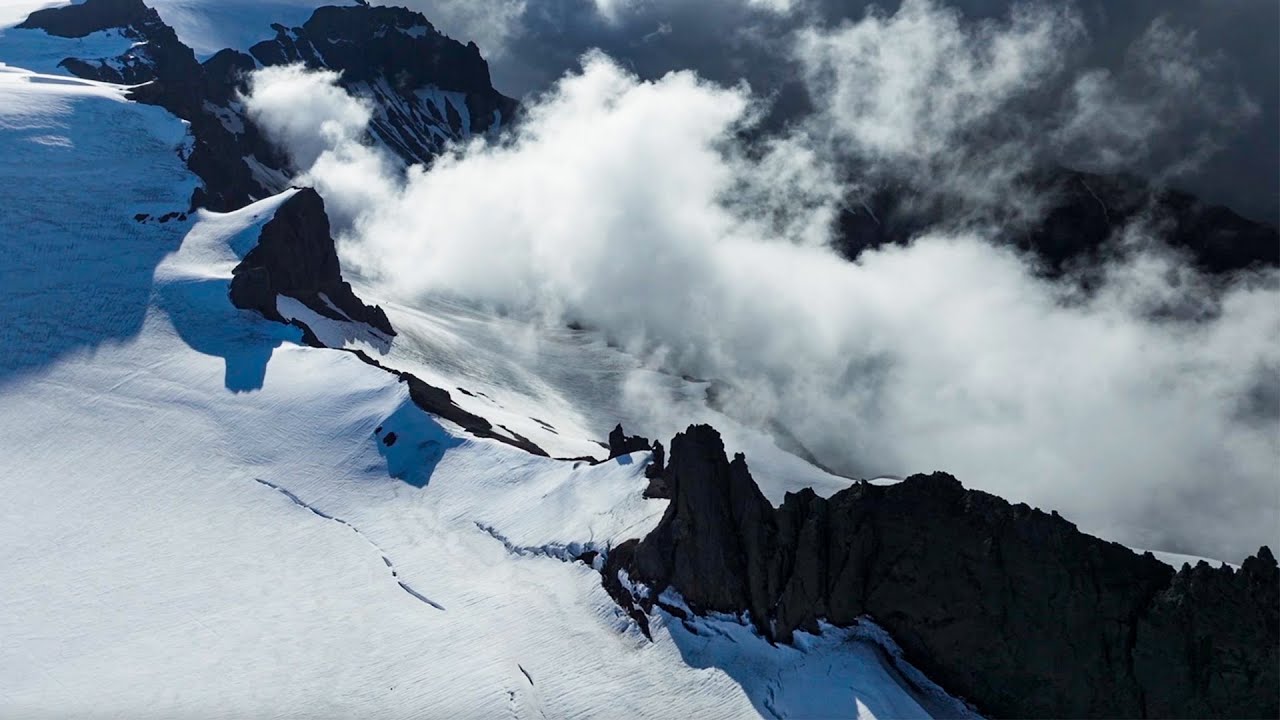 Life Survives in Extreme Icy Conditions | Earth | BBC Earth Science ...