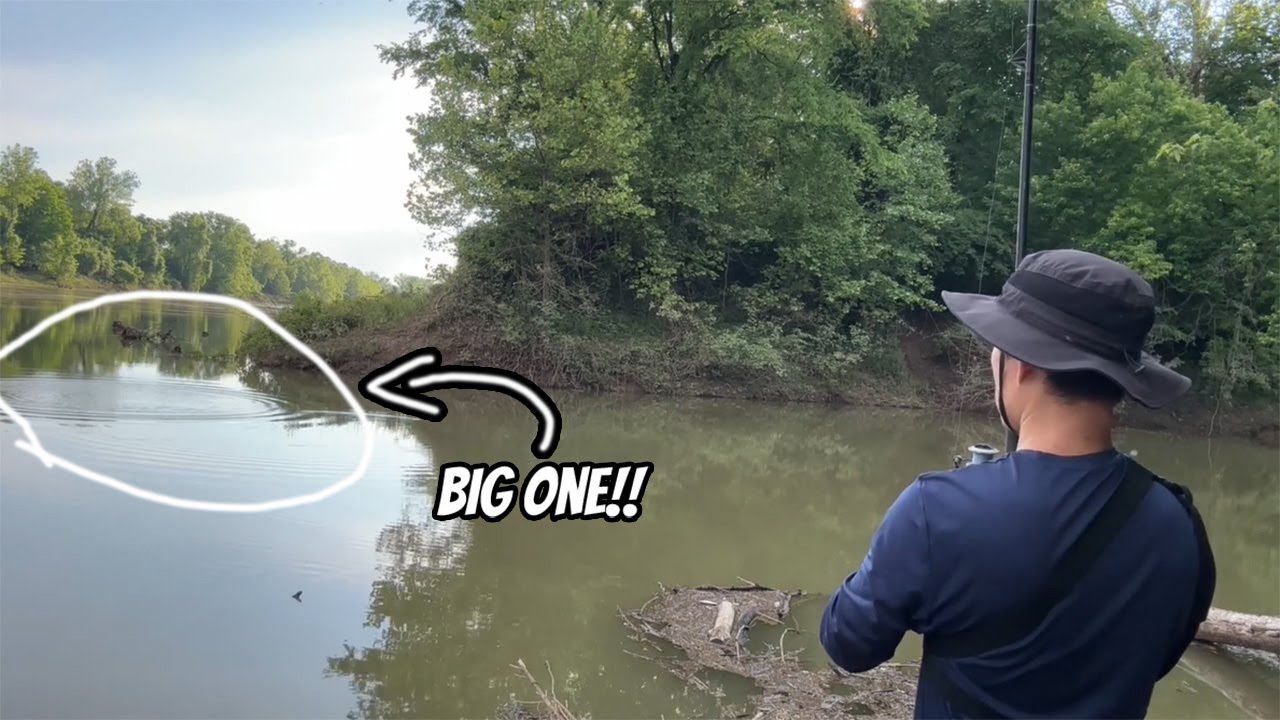 Catching BIG TOOTHY FISH and Flathead on the Meramec (New PB) - YouTube