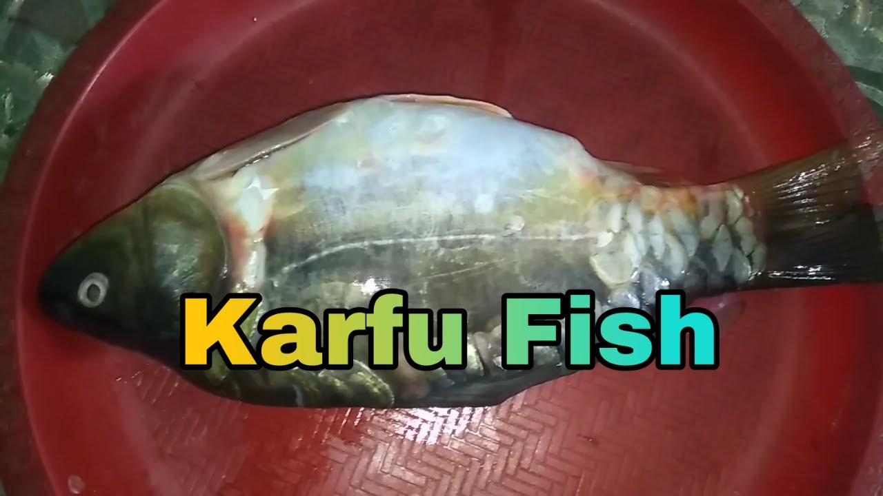 কারফু_মাছের_রেসিপি||#Karfu_Fish_Fry_Recipe - YouTube