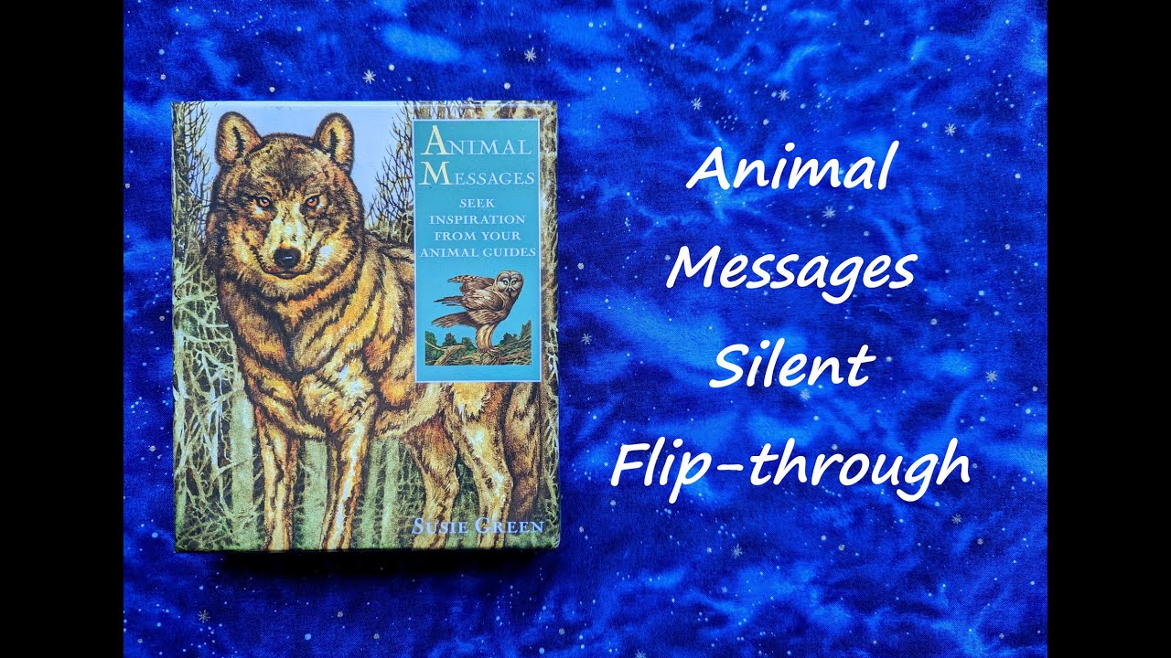 Animal Messages - Silent Flip-through - YouTube