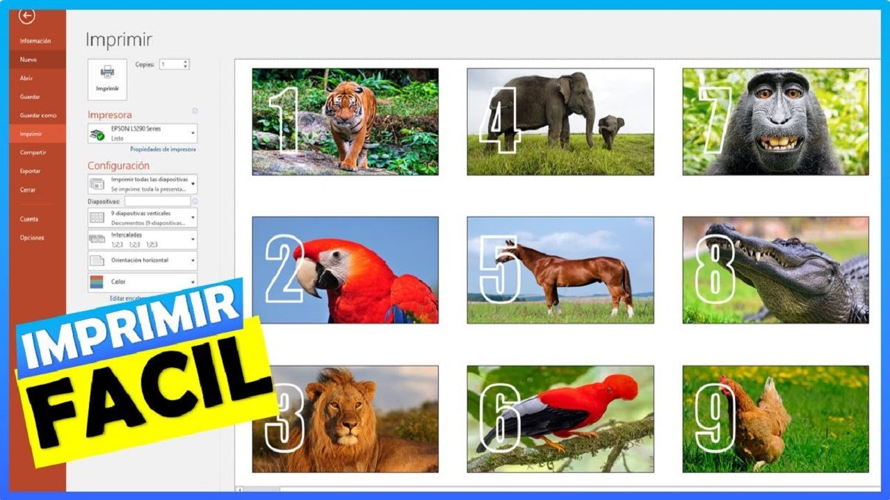 imprimir en power point - YouTube