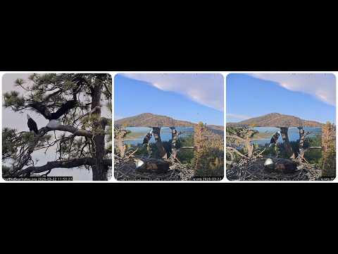 Jackie und Shadows Sonntag der Liebe, 22.03.2026 @FOBBVCAM