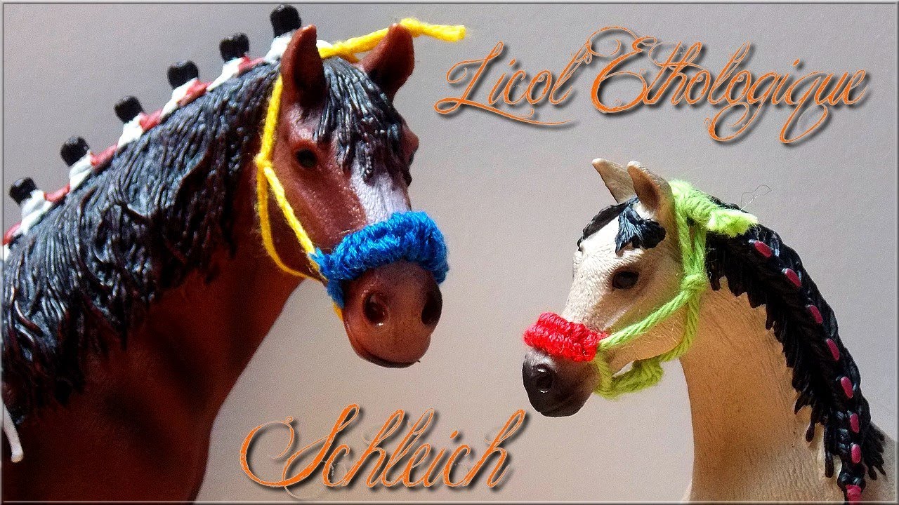 |Tuto°2| Licol éthologique Schleich - YouTube