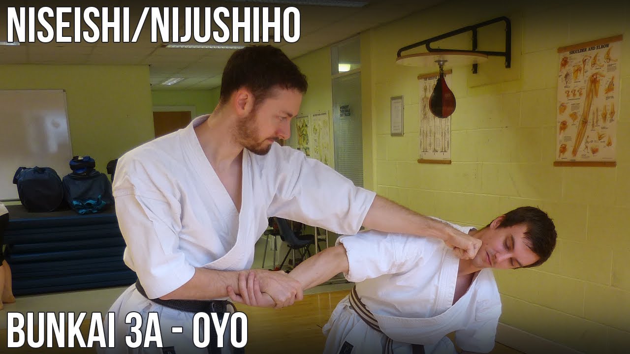Niseishi/Nijushiho Bunkai - 3a Oyo (Mawate, awase zuki) - YouTube