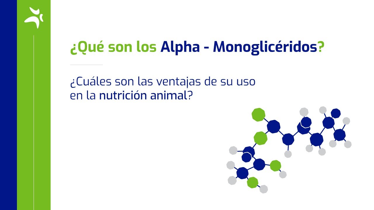 ¿Qué son los Alpha Monoglicéridos? | Ventajas en la nutrición animal ...