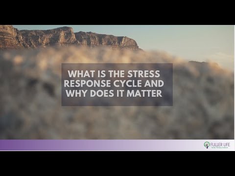 8 Simple Ways to Complete the Stress Response Cycle - YouTube
