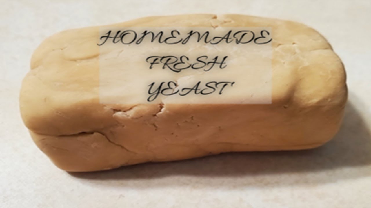 homemade fresh yeast- from dry yeast- Never buy yeast again - YouTube
