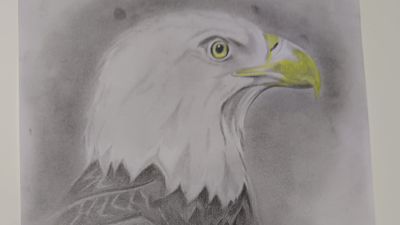 how to draw pencil shade eagle 🦅#eagle #video #viralvideo #shorts #song ...
