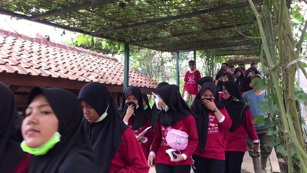 AgroEdutainment: Edukasi Pertanian yang Menyenangkan - YouTube