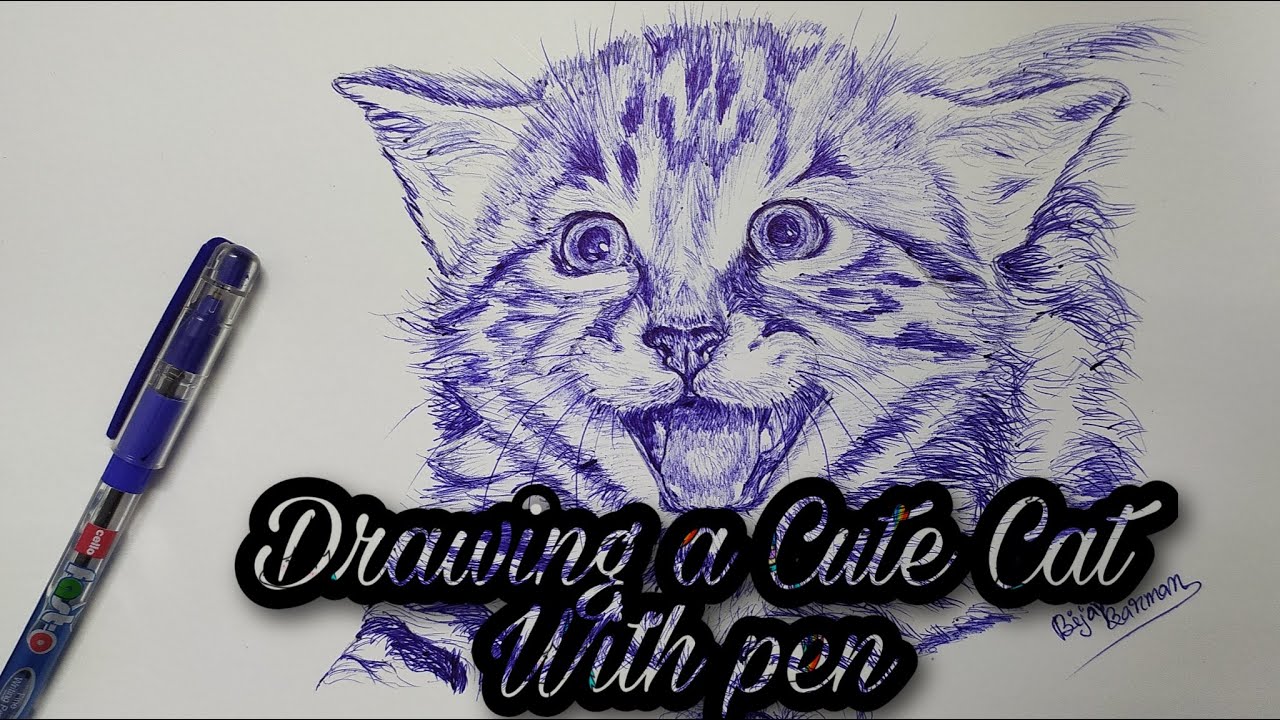Drawing a cat / with pen - YouTube