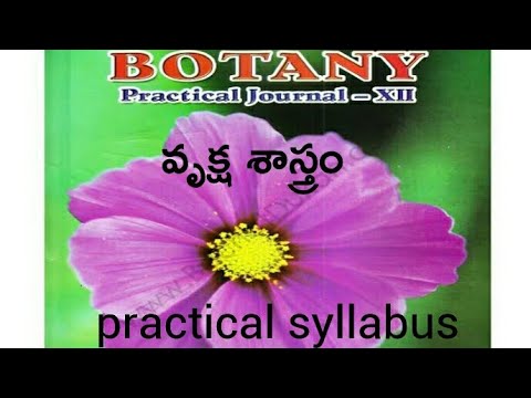 Intermediate Botany practical exams syllabus (Sr BOTANY) - YouTube