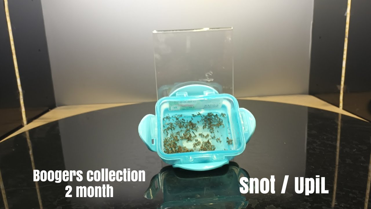 DISPLAY NO 211 : BOOGERS SNOT UPIL 2 Month collection #upil#boogers # ...