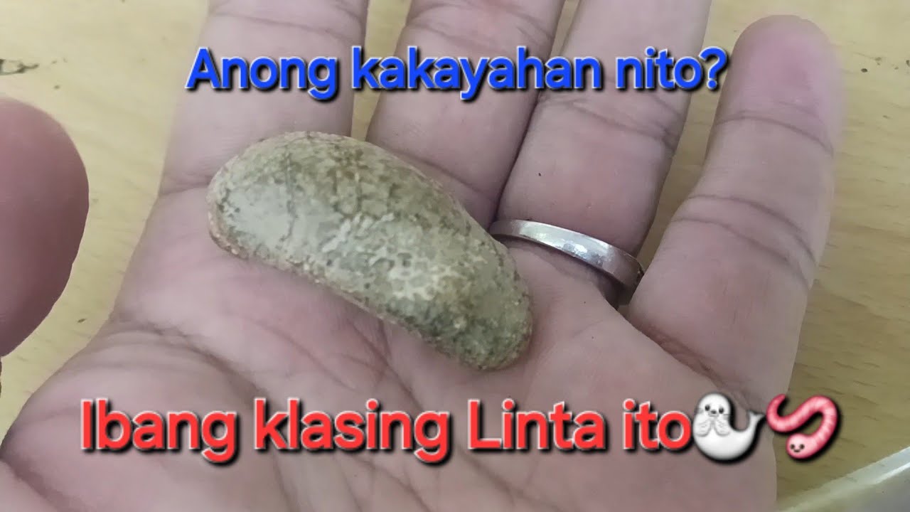 Mutya ng Linta 🪱 - YouTube