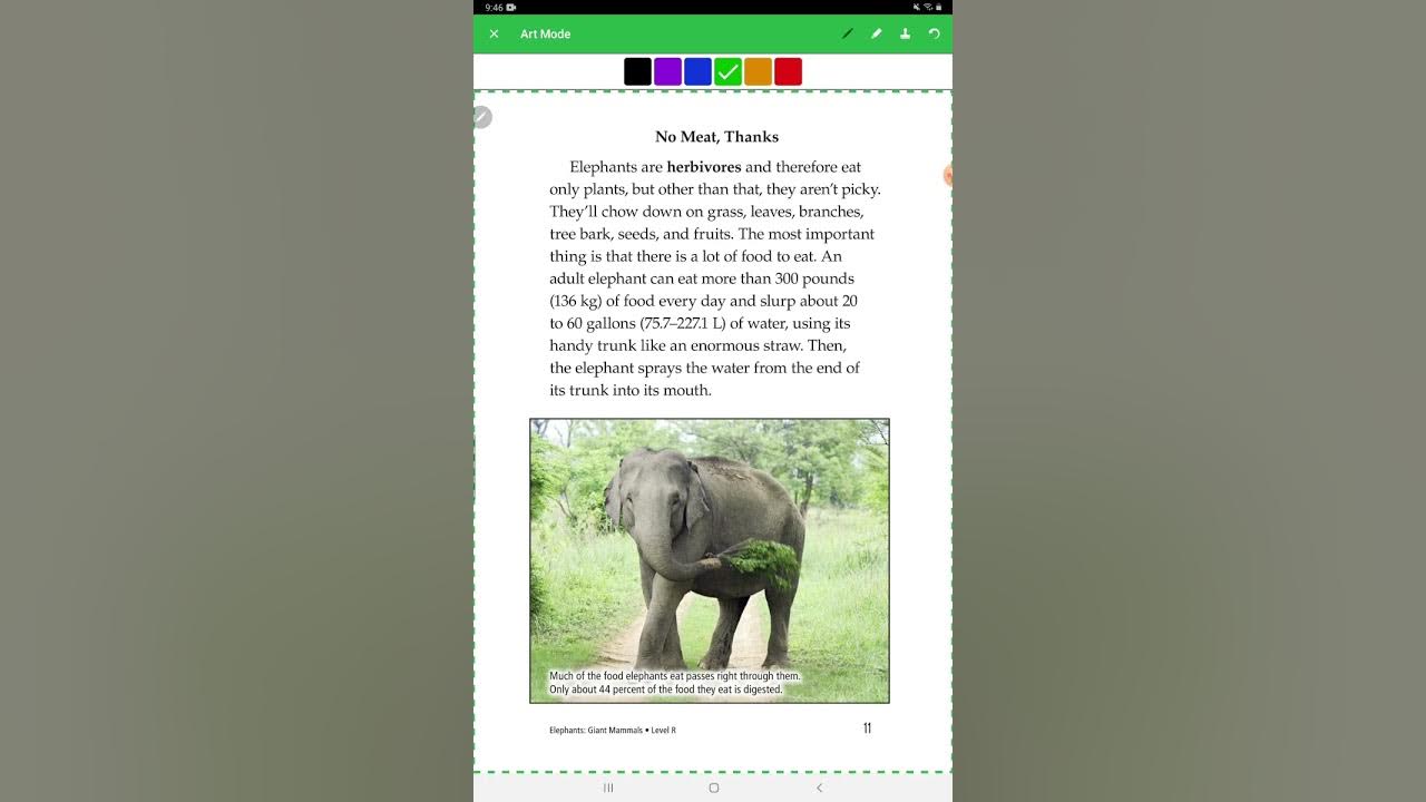 #hanna2013 #day 793 #2023.03.12 Elephants: Giant mammals 🐘 - YouTube