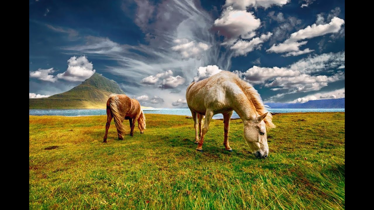 Music with Beautiful Nature Scenes of Relaxing quality, Sleep, Good ...