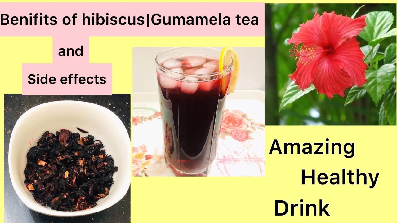 Making hibiscus or Gumamela tea🌺 | healthy herbal drinks | شاي الكركديه ...