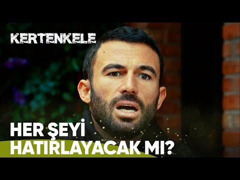 Kara Kemal kafasına tavayı yedi! - Kertenkele 85. Bölüm