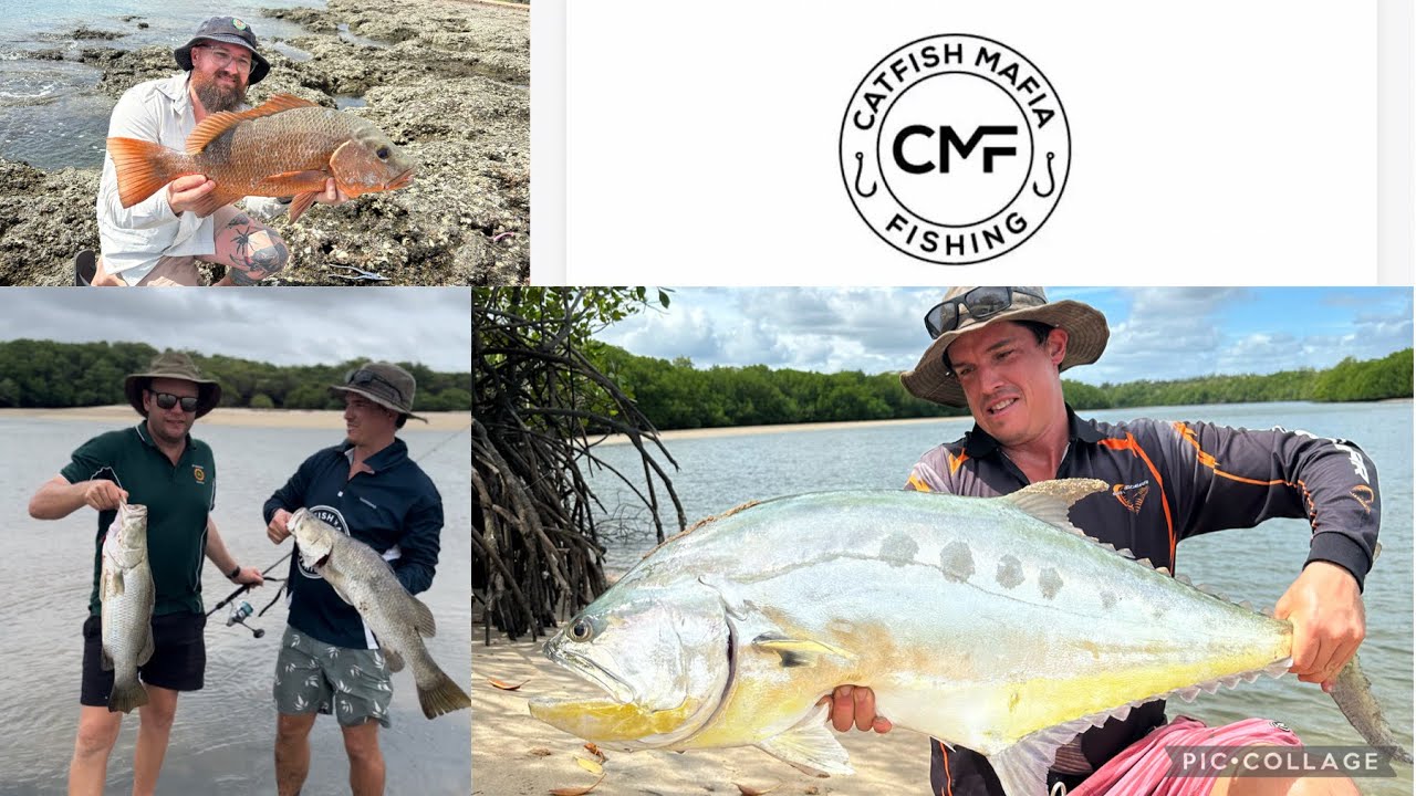 Heli fishing Cape York. Big barramundi, Giant queen fish and mangrove ...