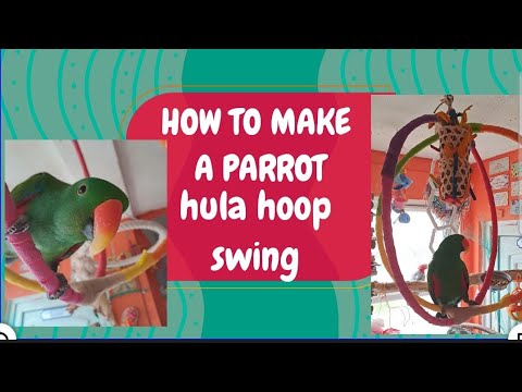 How to make A parrot hula hoop swing - YouTube
