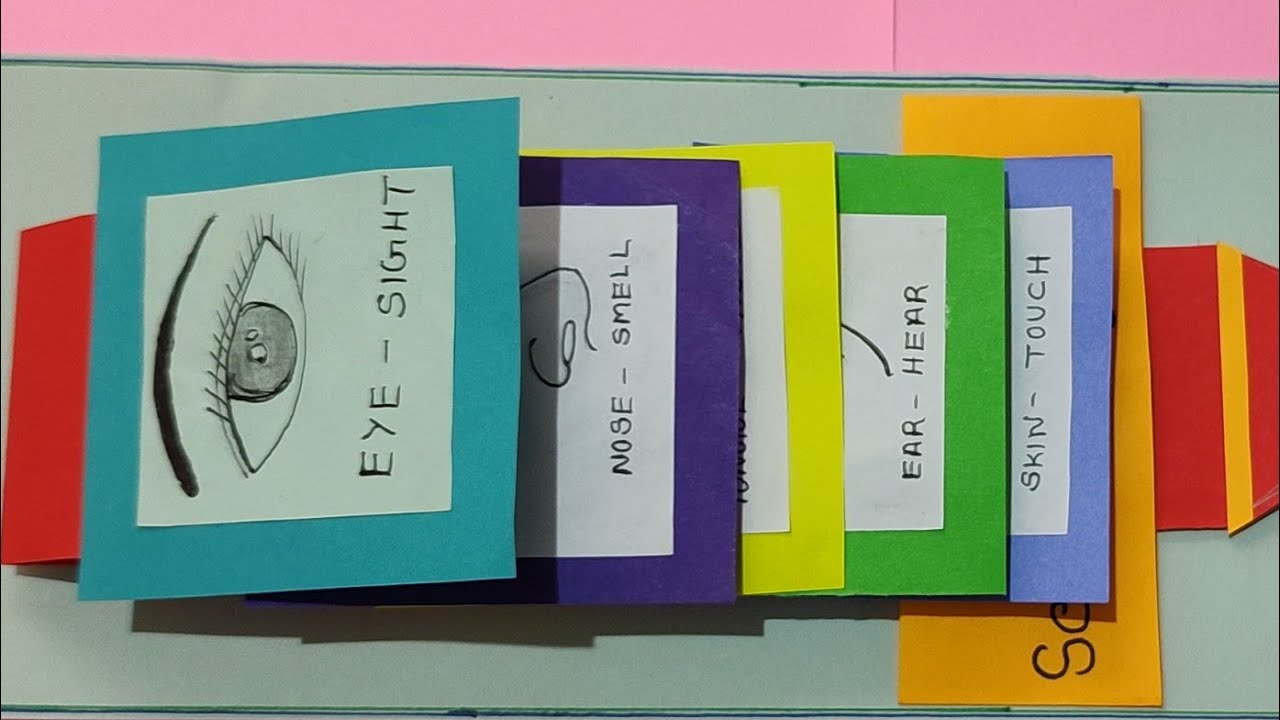 My 5 Senses, sense orgenes working model tlm, human sense organs model ...