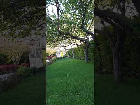 O Allah Ti je fales e don faljen na fal ne . - YouTube