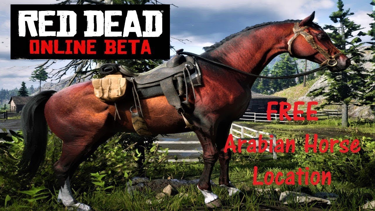 RDR2 | * FREE - Red Chestnut Arabian Horse & * Exclusive Crocodile ...