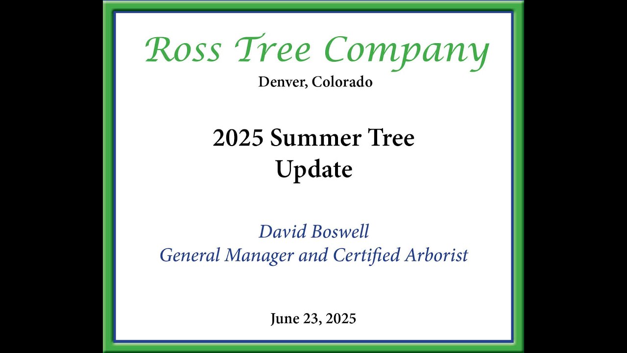Ross Tree Summer 2025 Tree Update - YouTube