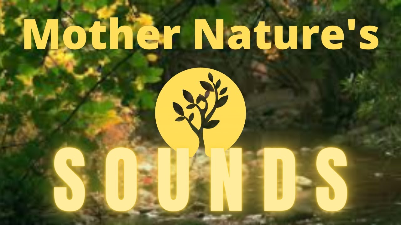 Mother Nature's Sounds, Relaxing, Meditation, Sleep, Yoga, Spa, Study ...