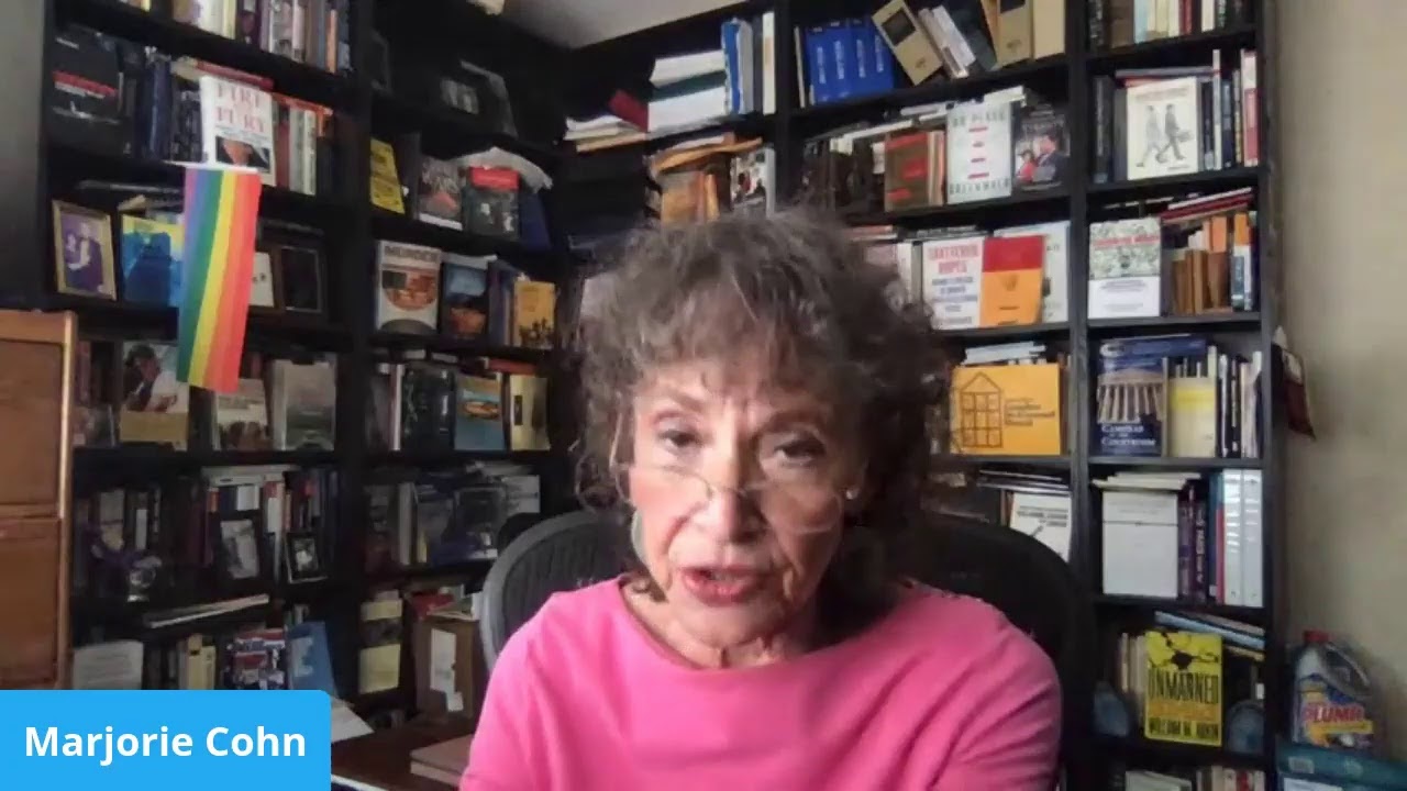 Interview With Marjorie Cohn On the Tenth Anniversary Of WikiLeaks Publishing Iraq War Logs ...