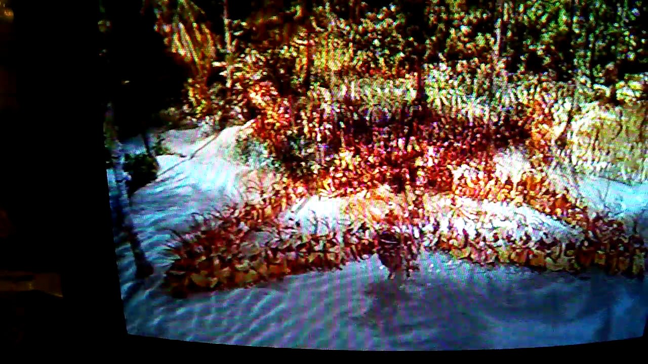 dr-doolittle-1967-end-scene-youtube