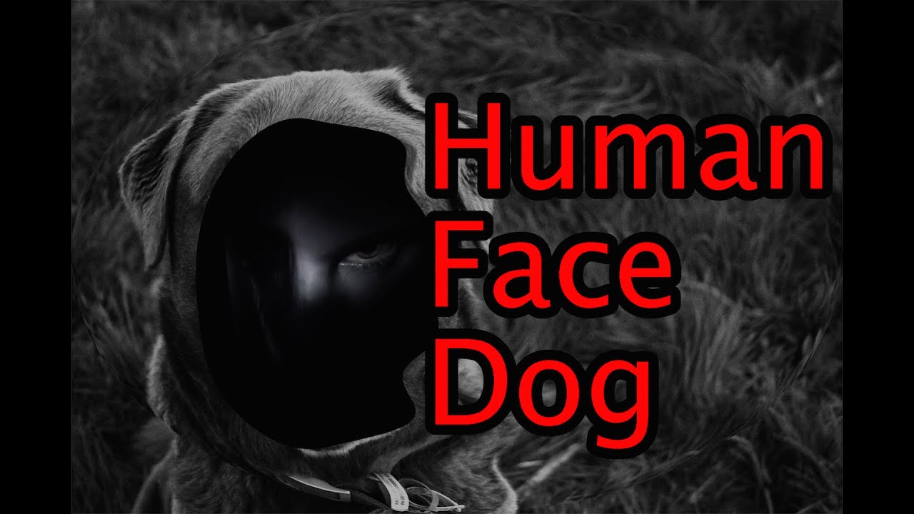 JAPANESE HORROR STORIES 【The human face dog】READING - YouTube