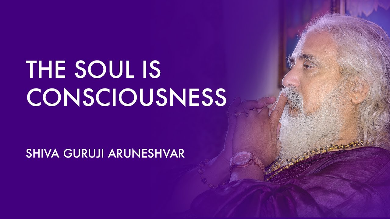 SOUL Is Consciousness ☀️ SOUL is Self Omnipresent Universal Love - YouTube