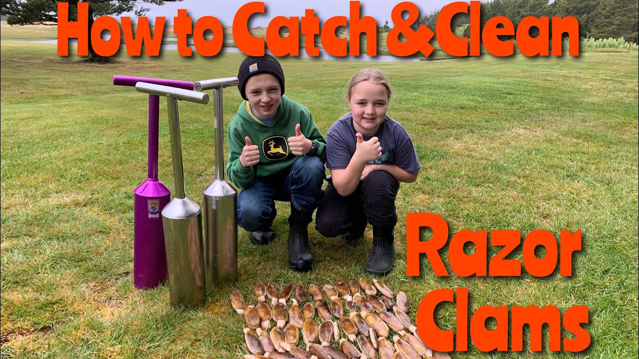 How to catch and clean razor clams. - YouTube