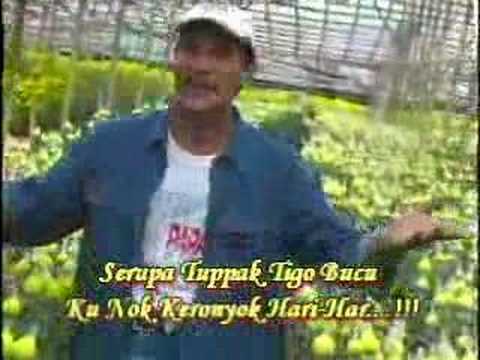 Alwi- Hari Ni Aku Suka(Oldies Hit)