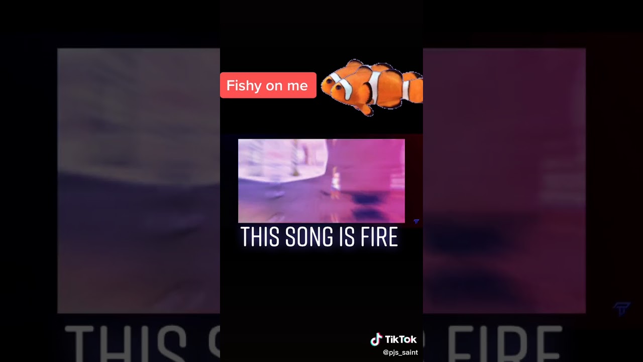 Tik tok fishing on me - YouTube