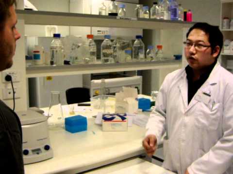 Man Fai, Lee (Patient Medication Counselling - Pandeine Forte 2qid ...