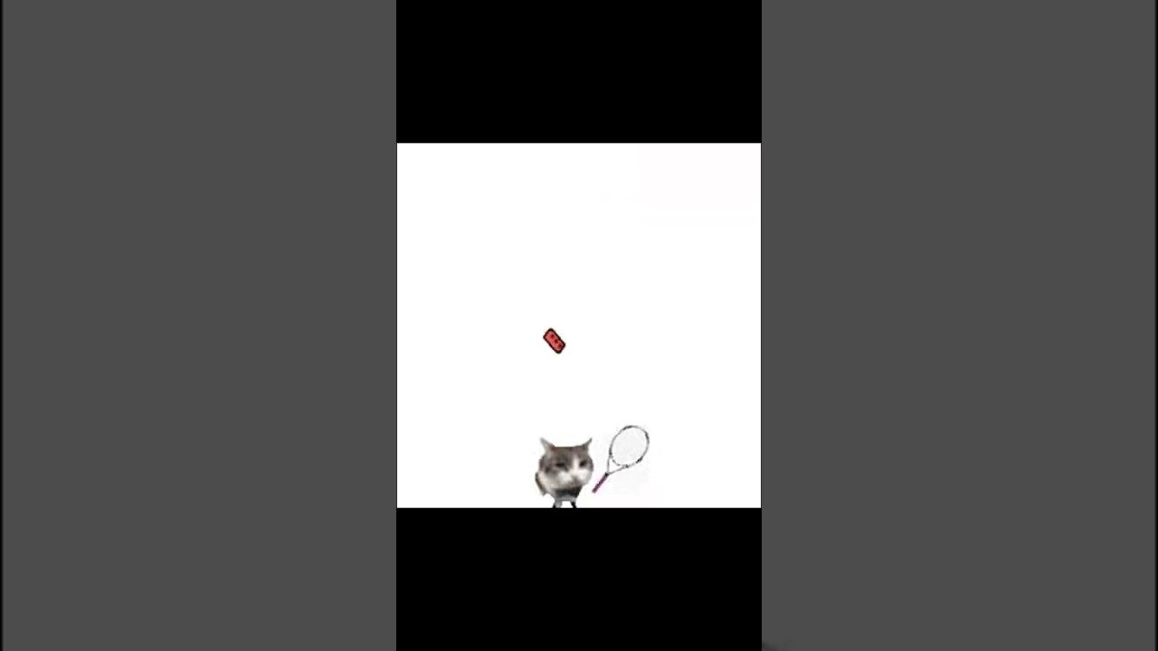 Cat Hitting a Brick with a Racket | Green Screen #meme #cat #cats # ...