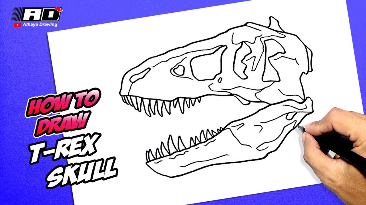 How to draw T Rex Skull - YouTube