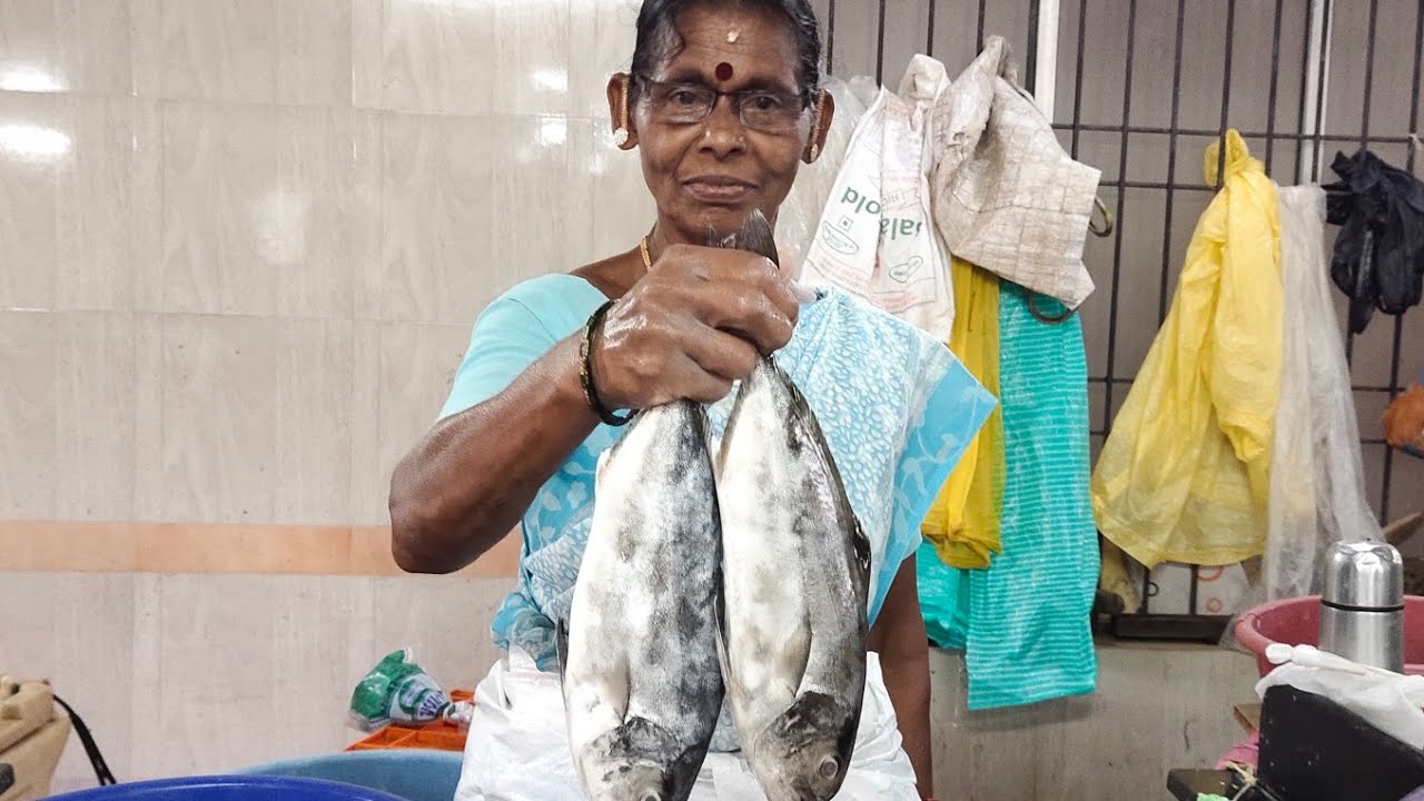 ಇದು ಮೀನು ತುಂಬಾ ರುಚಿ/saddam fish gasi (gravy)ಒಮ್ಮೆ ಟ್ರೈ ಮಾಡಿ ಸದ್ದಾಂ ಮೀನು ...