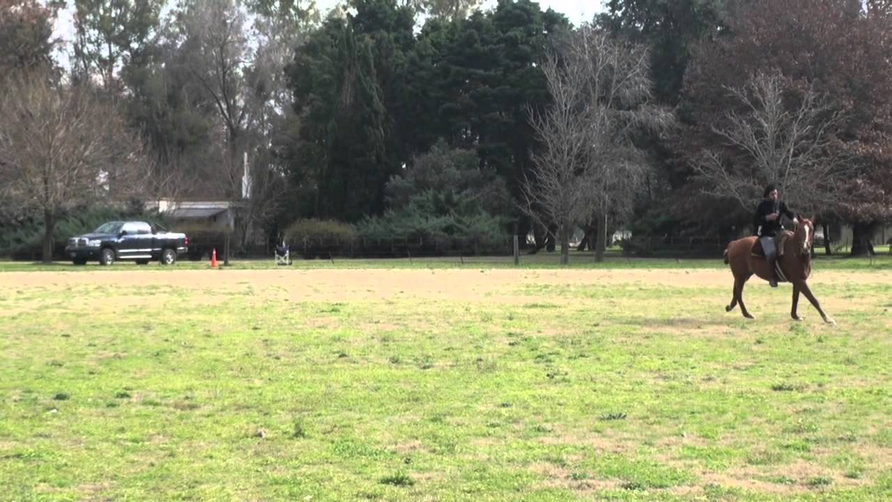 La Superba: El Tio Felipe 30/07/13 - YouTube